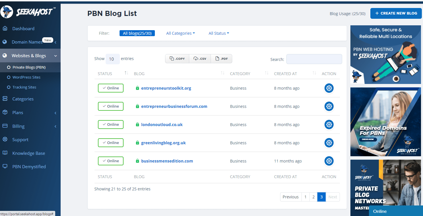 What Are PBN Sites? (See Examples List Of Websites)